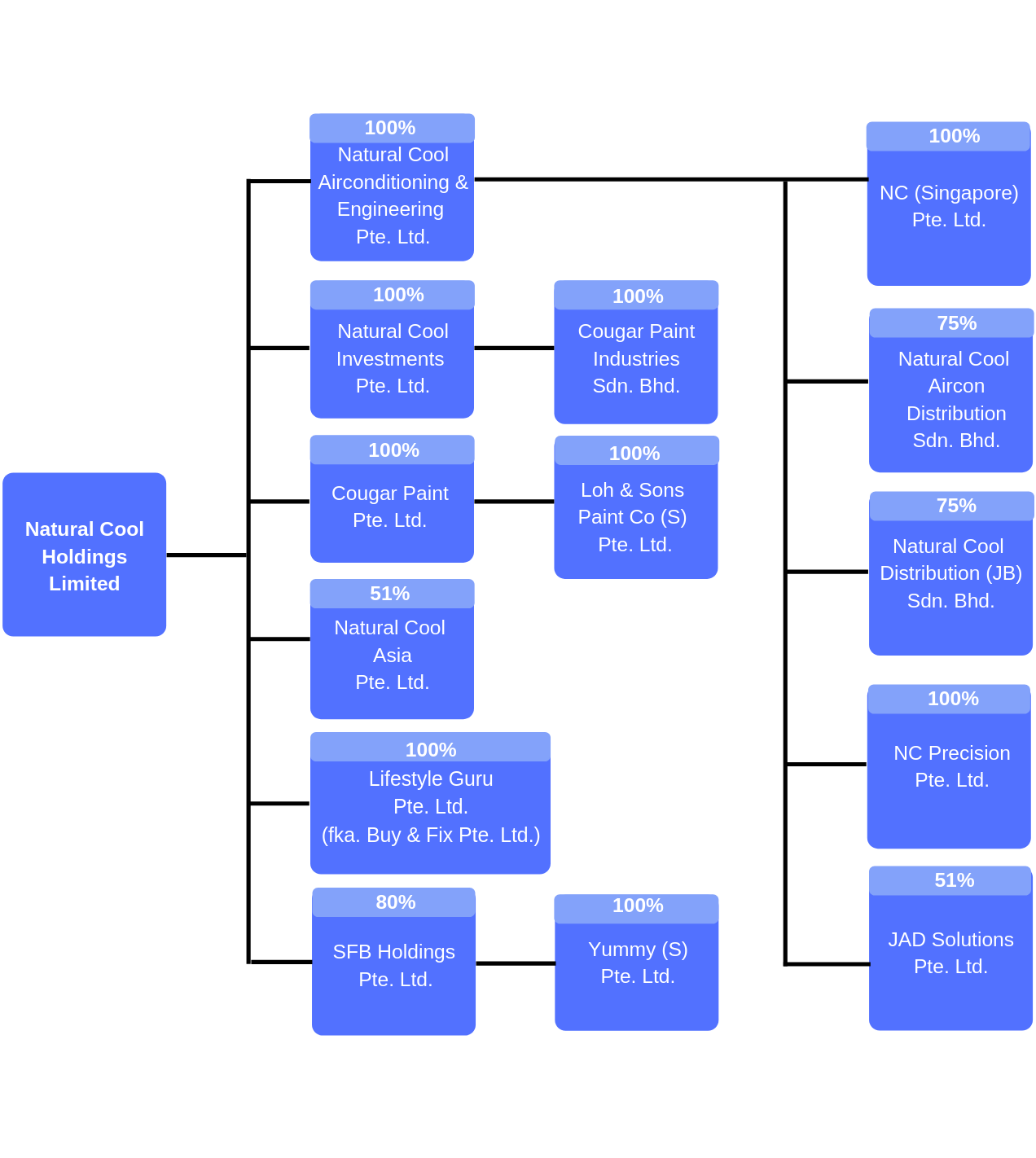 Corporate Structure – Natural Cool Holdings